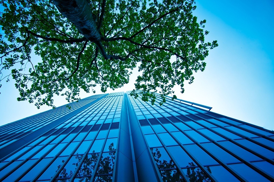 4 beneficios de los programas de RSE